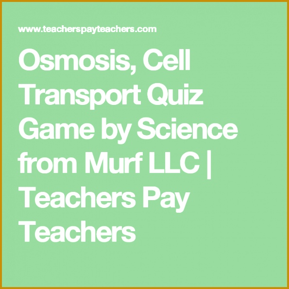 7 Cell Transport Worksheet | FabTemplatez