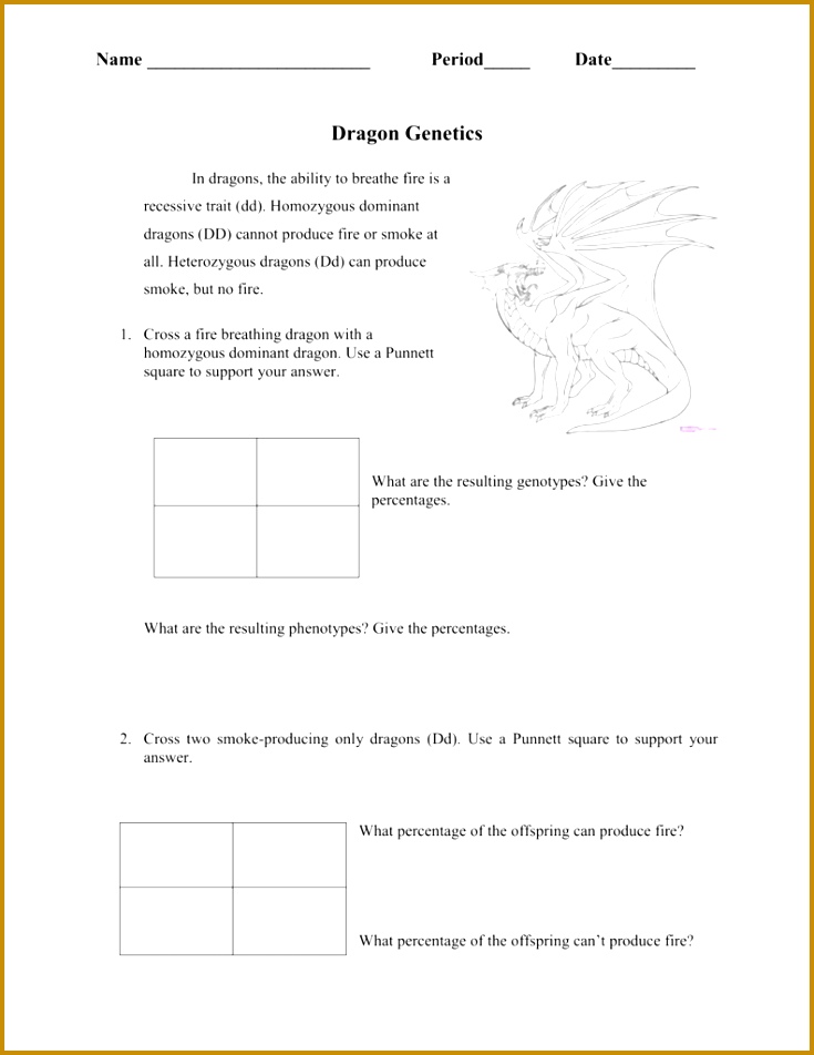 5 Genotype and Phenotype Worksheet Answers | FabTemplatez