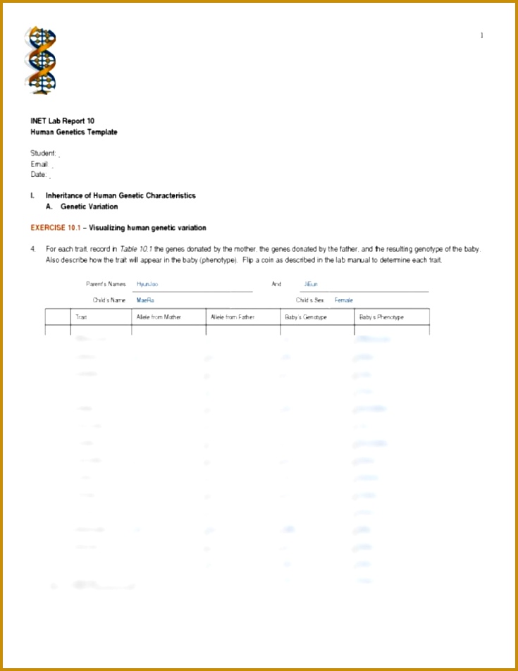 5 Genotype and Phenotype Worksheet Answers | FabTemplatez