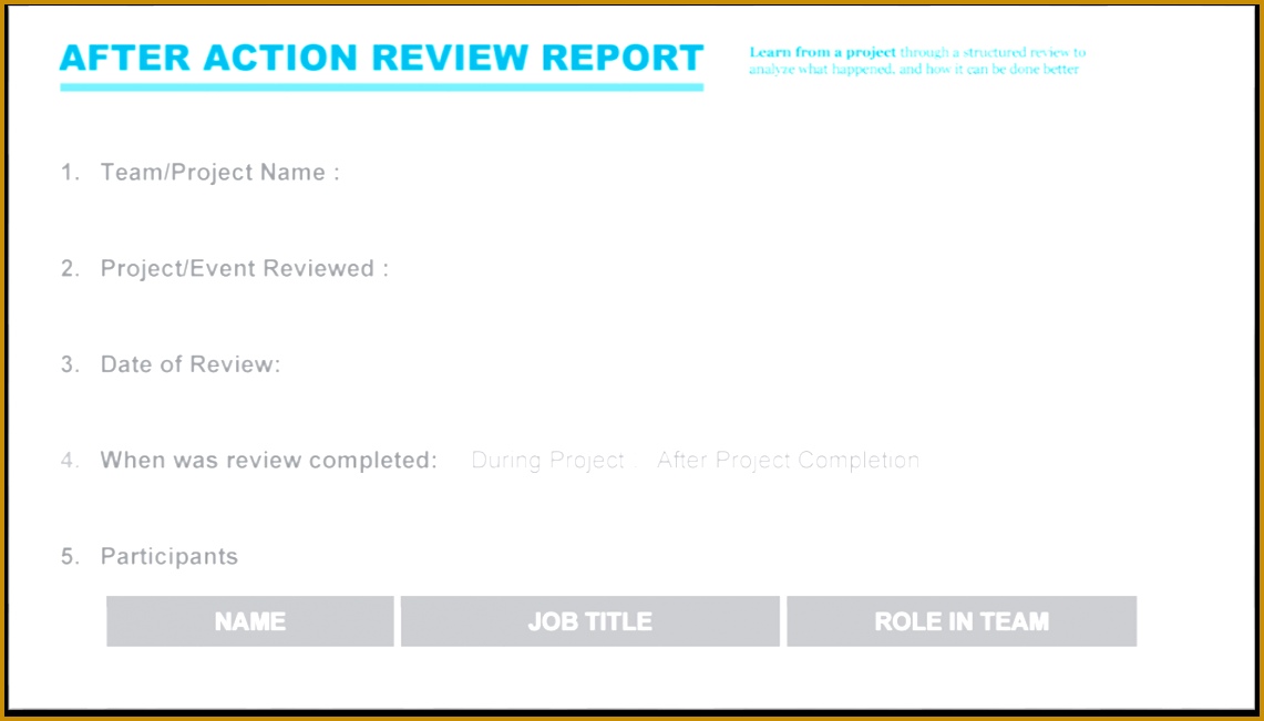 6 after Action Review Template | FabTemplatez