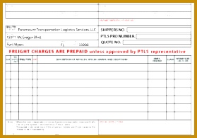 3 Online Bill Of Lading Template | FabTemplatez