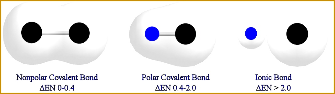 Covalent Bonding Worksheet Section 8 1
