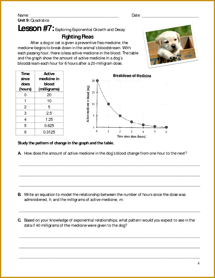 Exponential Growth Worksheet