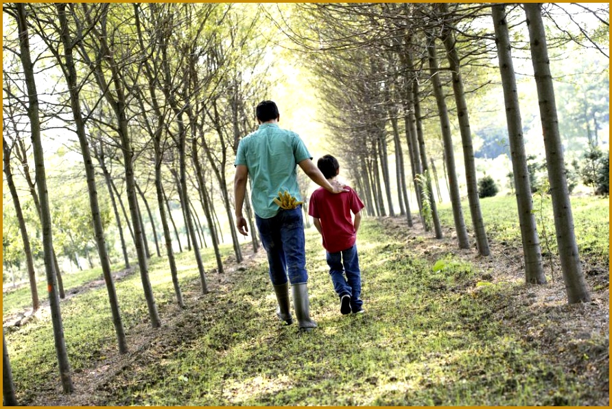 7 Georgia Child Support Worksheet | FabTemplatez