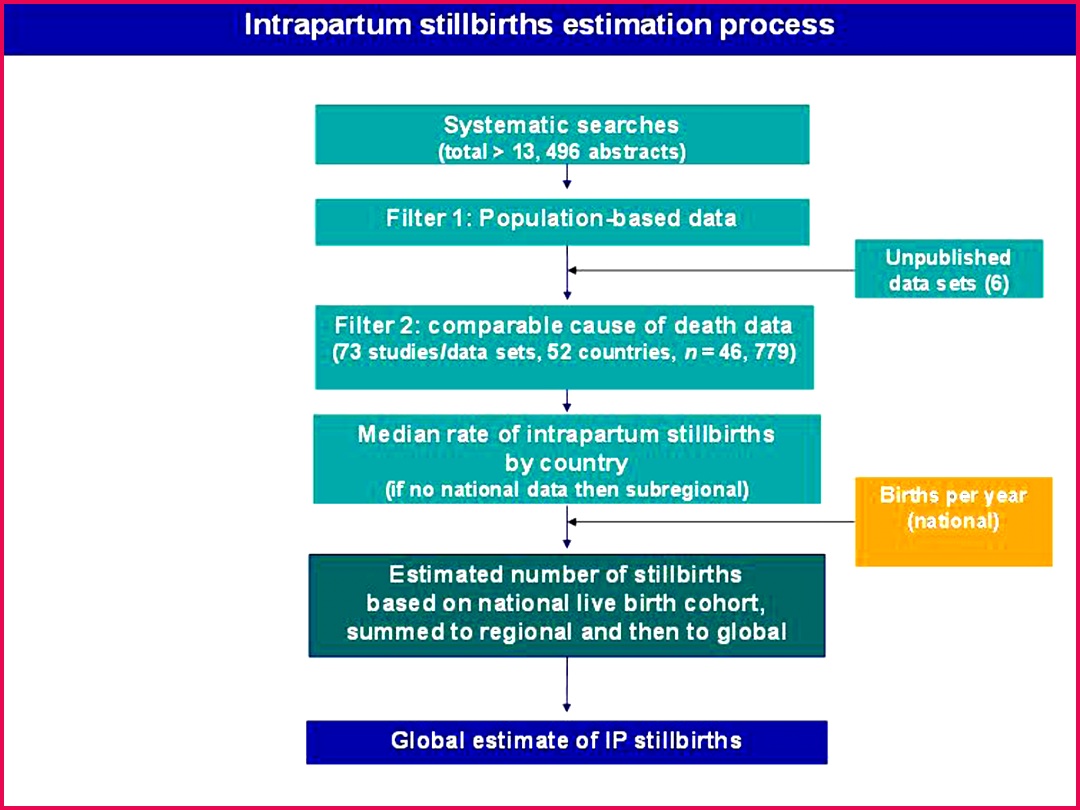 6 Sample Stillbirth Certificate Template 67467 | FabTemplatez