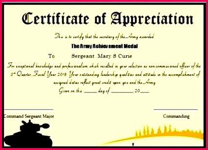 3 Military Appreciation Certificate Templates 18751 | FabTemplatez